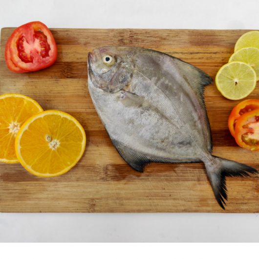 Halwa Fish | Benefits Black Pomfret | Fish & Seafood | Blog